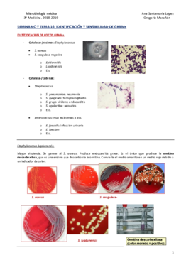 Tema 16 - Identificación Gram+.pdf