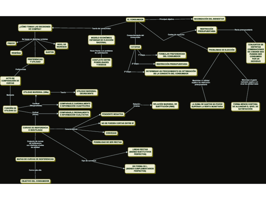 MAPA-CONCEPTUAL-TEMA-1.pdf