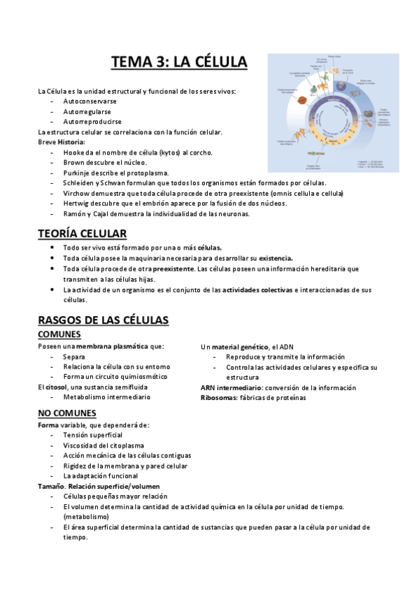 TEMA-3-4-5-6-8-y-9.pdf