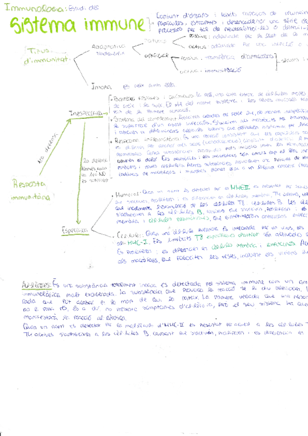ESQUEMA-INMUNOLOGIA.pdf