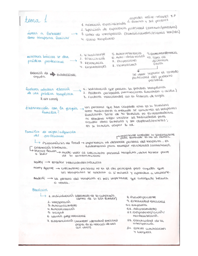 ESQUEMA-T.-1-INDV-y-FAM-II.pdf