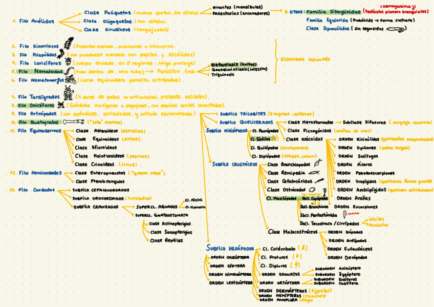 Visu-Esquema-Zoo.pdf