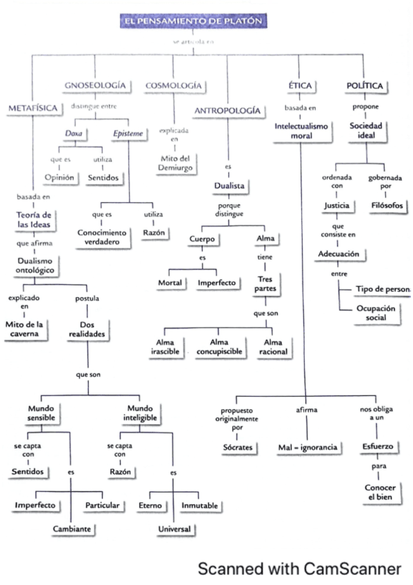 esquema-PLATON-completo-evau.pdf