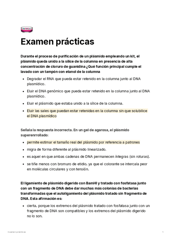 Examen-practicas.pdf