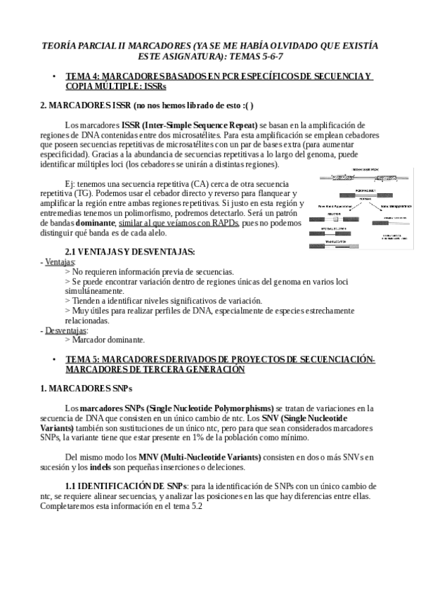 TEORIA-PARCIAL-II-TEMA-5.1.pdf