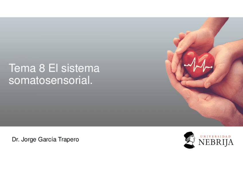 Tema-8-El-sistema-somatosensorial.-12.2.20241.pdf