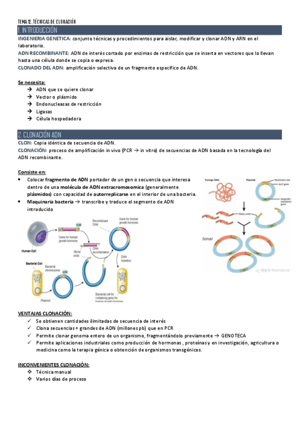 TEMA-12-clonacion.pdf