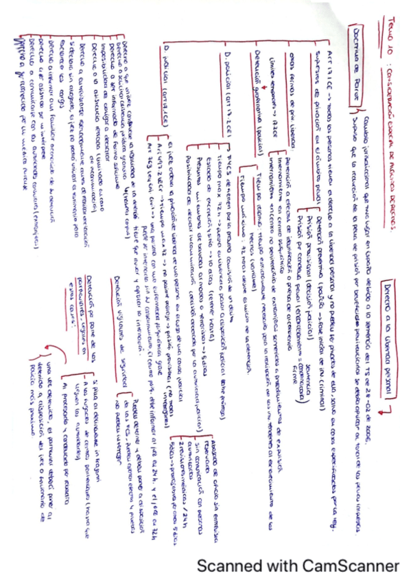 Esquema-tema-10-Constitucional.pdf Esquema-tema-10-Constitucional.pdf