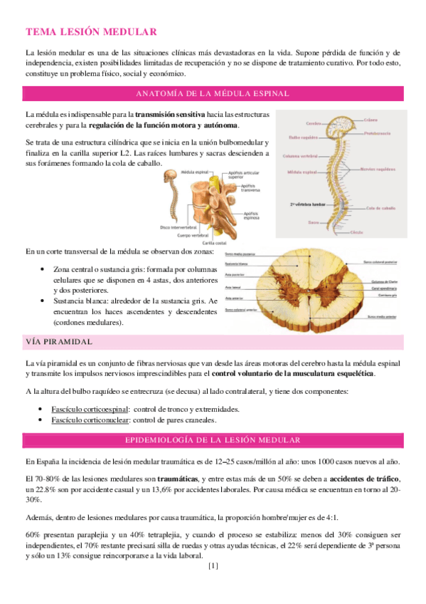 tema-lesion-medular-MFR.pdf