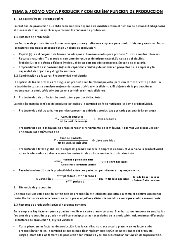 Tema-5-Funcion-de-produccion.pdf