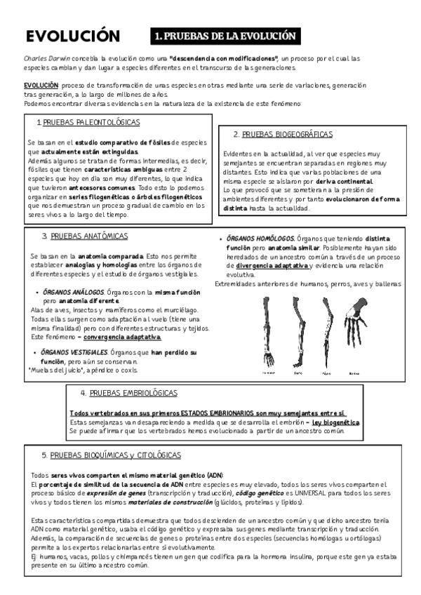 EVOLUCION-EVAU.pdf