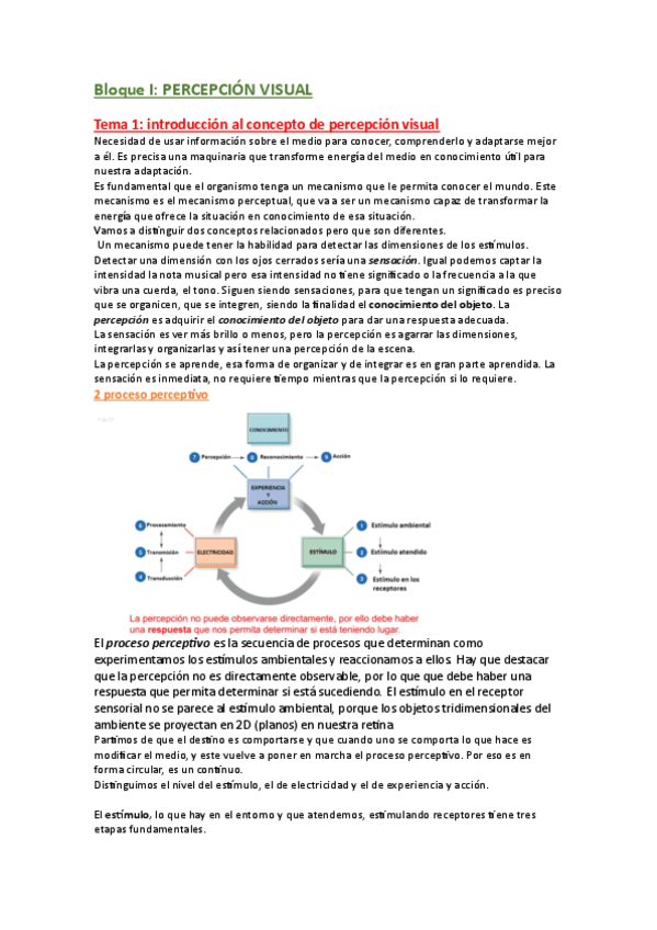 Bloque-1-percepcion-visual.pdf