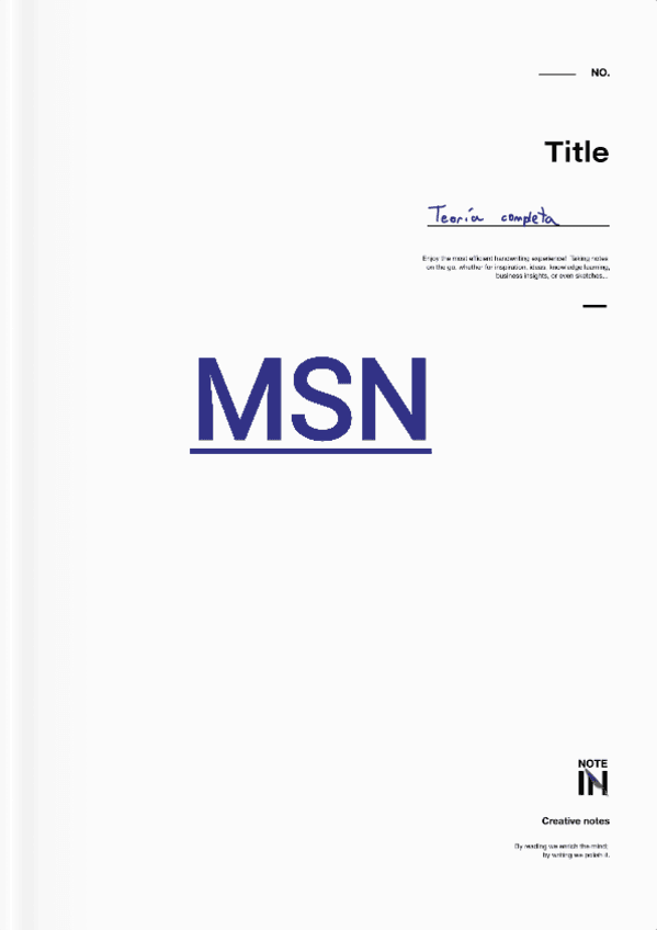 Teoria completa MSN con ejemplos.pdf