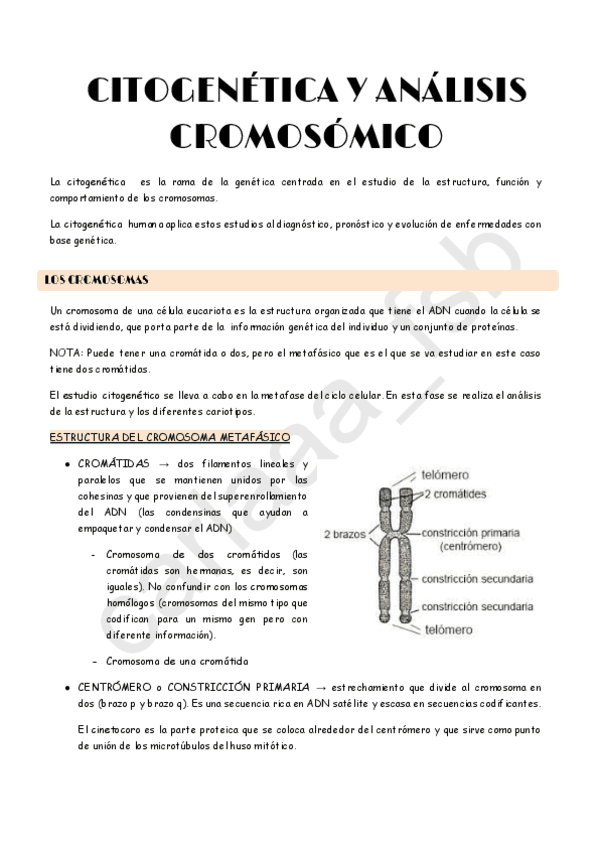 Tema-4--Citogenetica-y-analisis-cromosomico.pdf