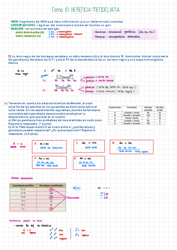 Esquema-T10.pdf