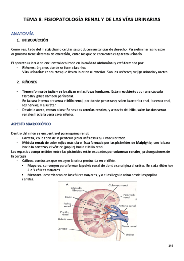 RESUMEN-TEMA-8.pdf