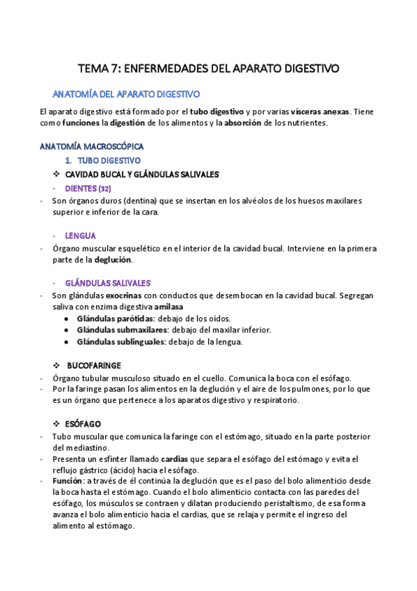 RESUMEN-TEMA-7.pdf