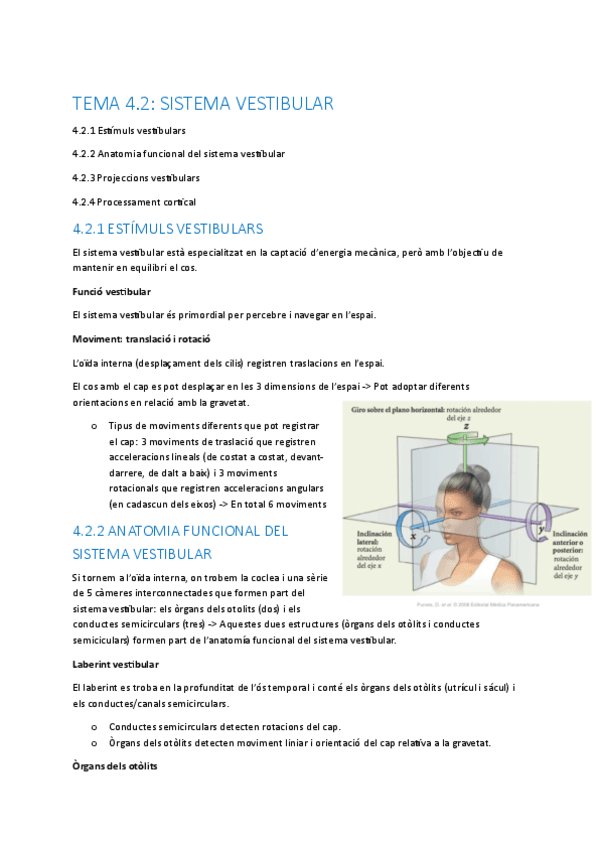 Tema-4.2-Psicofisio.pdf