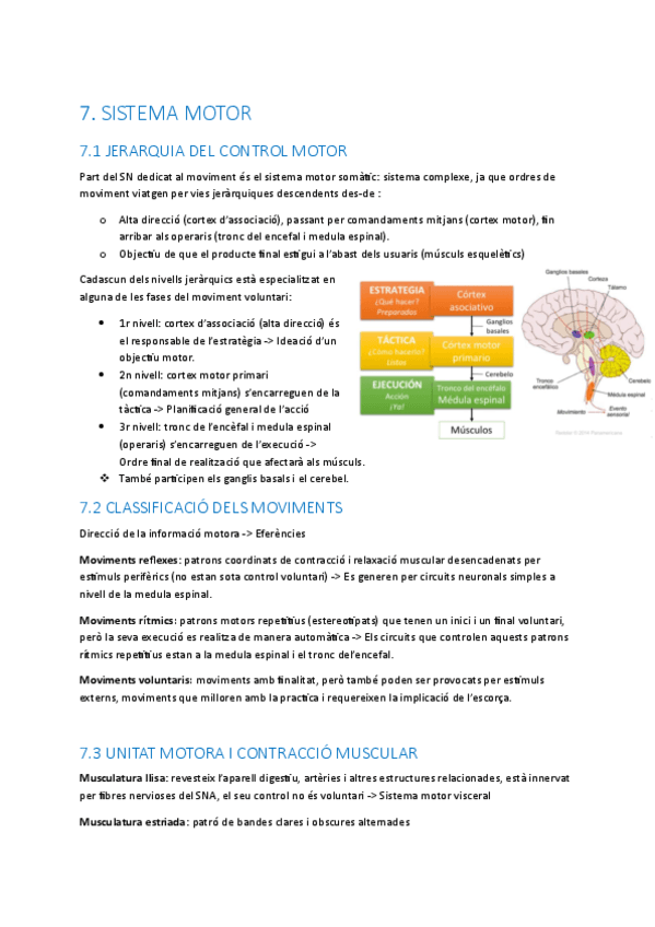 Tema-7-Psicofisio.pdf