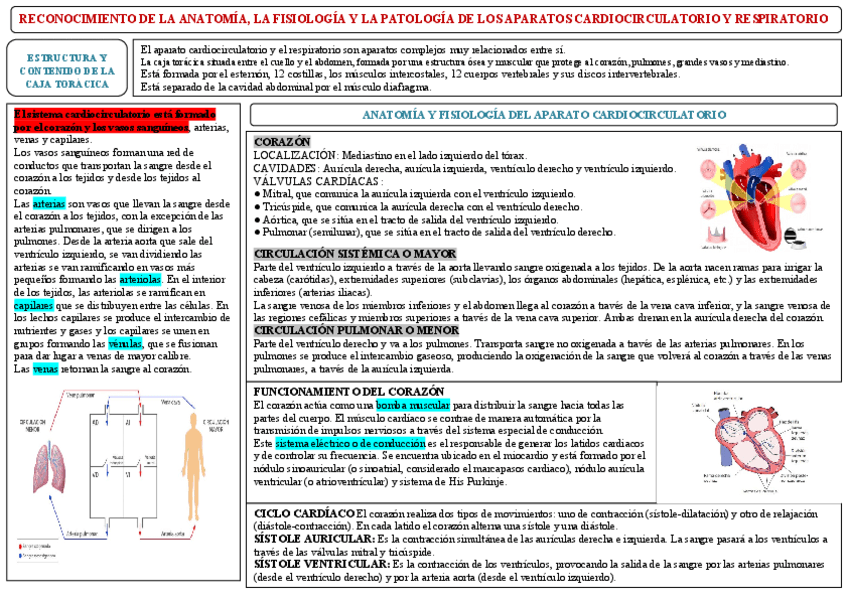 Reconocimiento-de-la-anatomia-la-fisiologia-y-la-patologia-de-los-aparatos-cardiocirculatorio-y ...