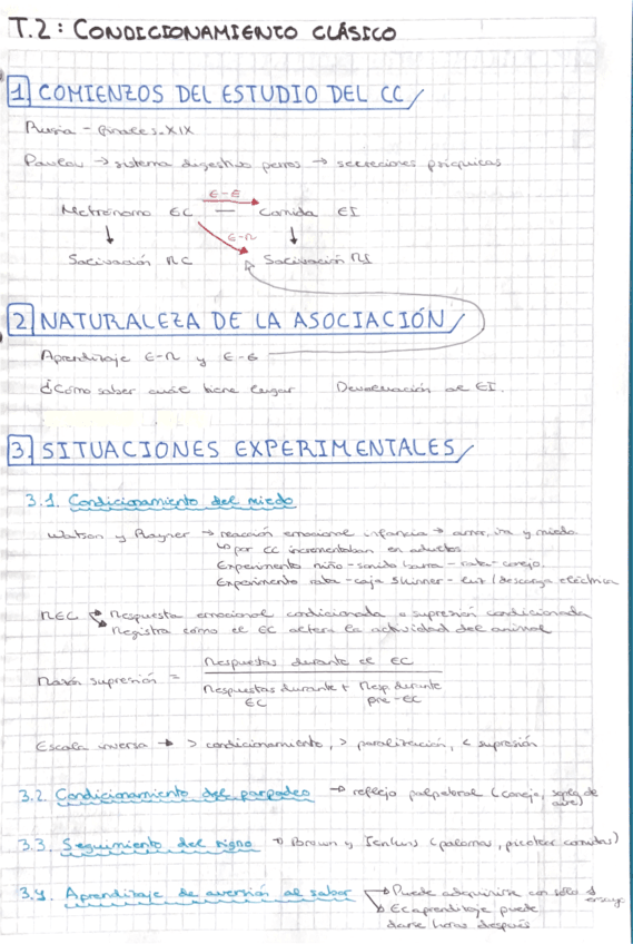 Esquema-T2-Aprendizaje.pdf