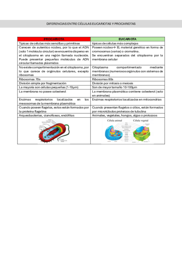 Tabla resumen diferencias entre células procariotas y eucariotas.pdf