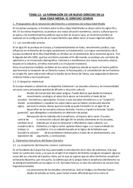 Mio Tema 12.pdf