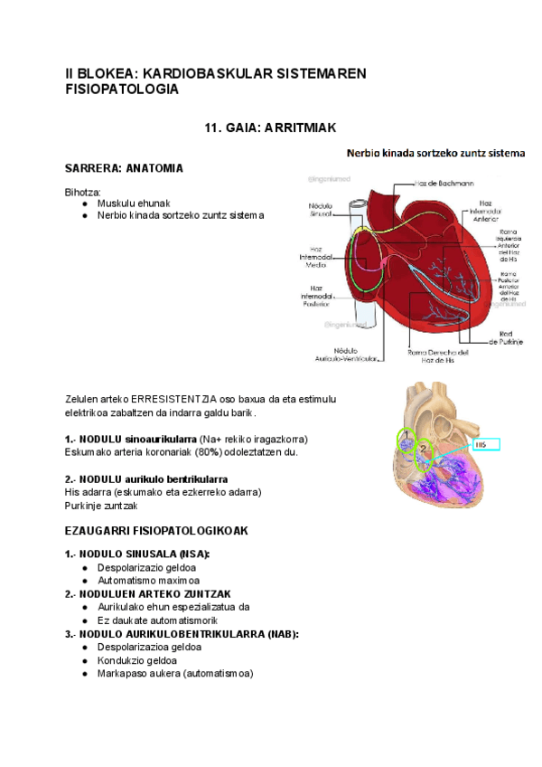 KARDIO-FISIOPATOLOGIA.pdf