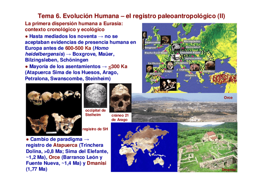 tema-7-evo-parte-II.pdf