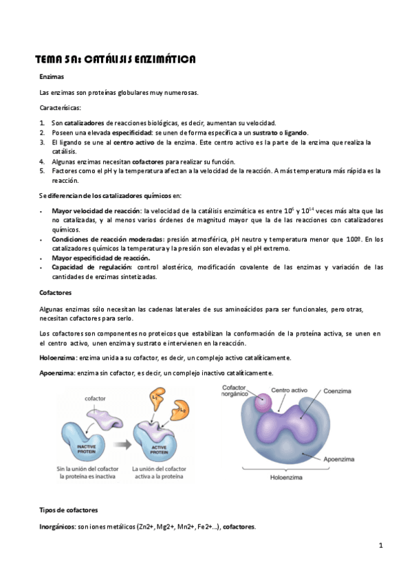 Tema-5A-Catalisis-enzimatica.pdf