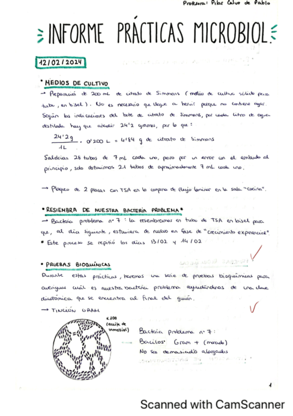 informe-practicas-micro-2o-cuatri.pdf