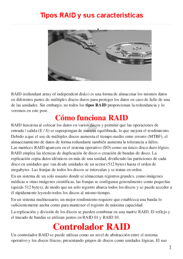Tipos-RAID-y-sus-caracteristicas.pdf