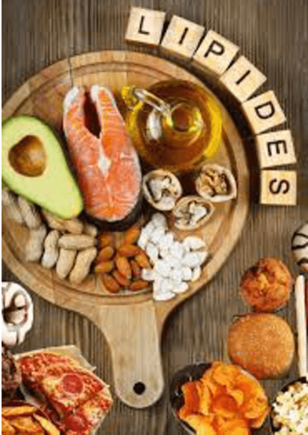 Lipidos.pdf