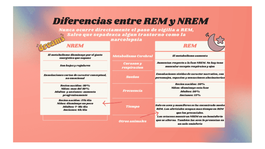 Diferencias-entre-REM-y-NREM-Tema-2.pdf