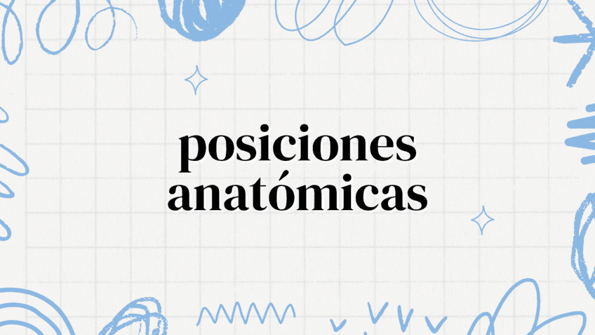posiciones-anatomicas.pdf