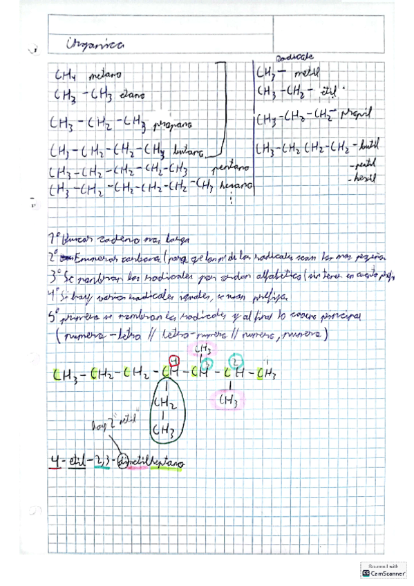 Principio Apuntes Quimica Organica Pdf