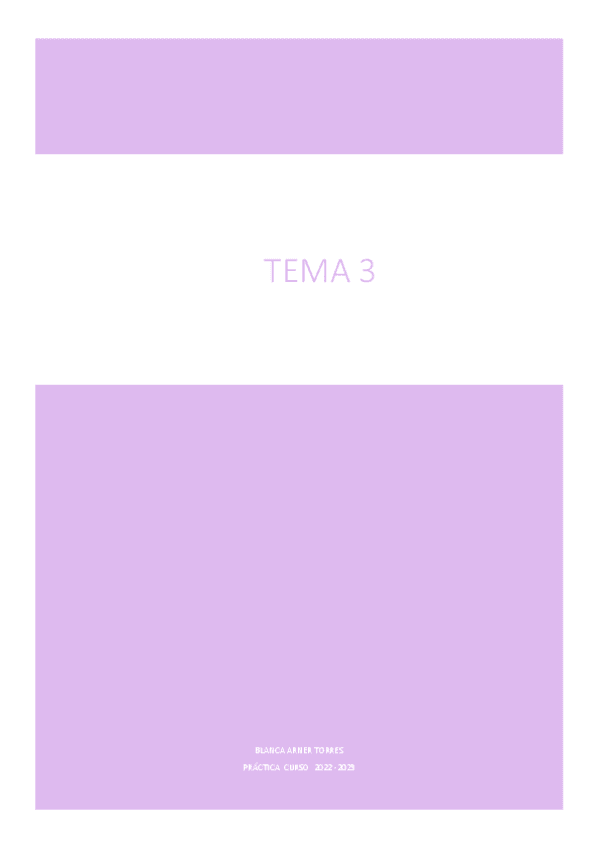 Tema-3-PRACTICA.pdf