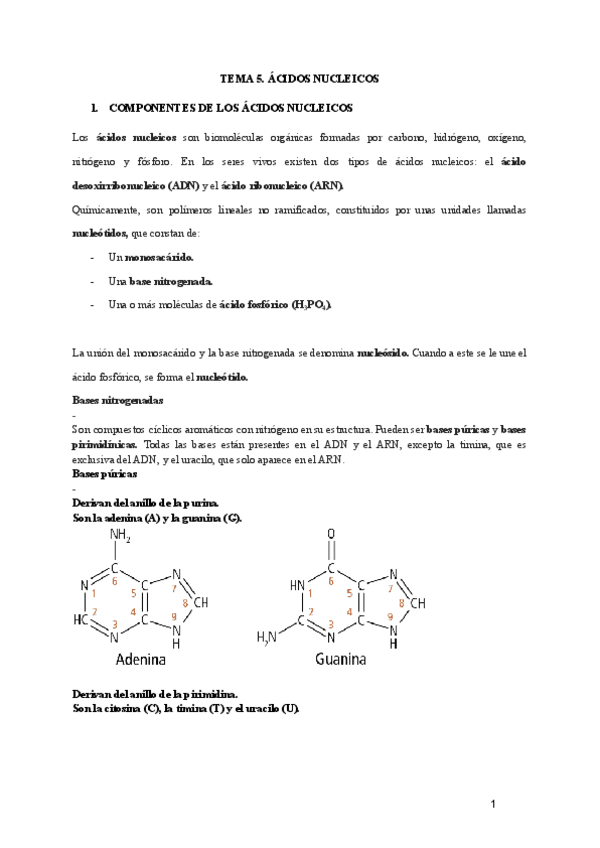 Tema-5-acidos-nucleicos.pdf
