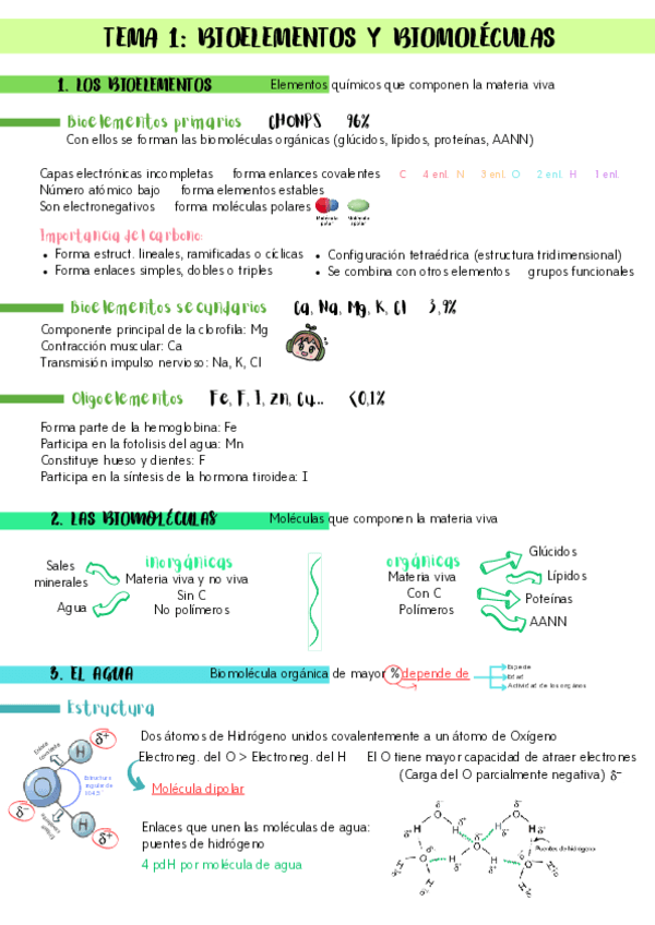 Tema-1-Bioelementos-y-biomoleculas.pdf