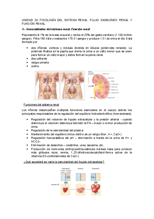 UNIDAD-24FISIOLOGIA-DEL-SISTEMA-RENAL.-FLUJO-SANGUINEO-RENAL-Y-FUNCION-RENAL.pdf