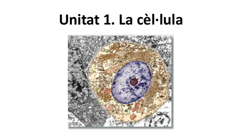 La-cellula.pdf