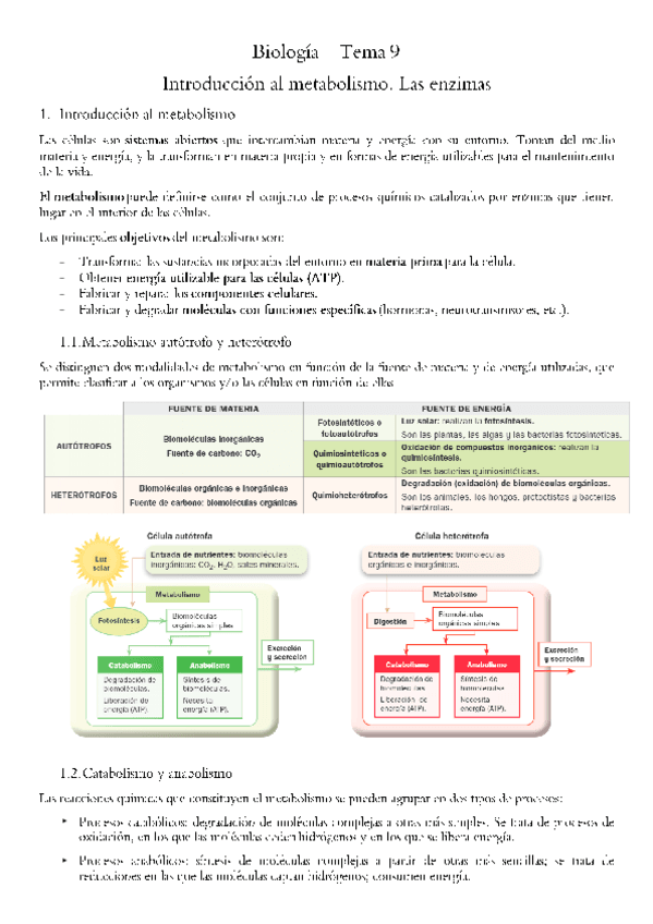Tema-9-Introduccion-al-metabolismo.-Las-enzimas.pdf