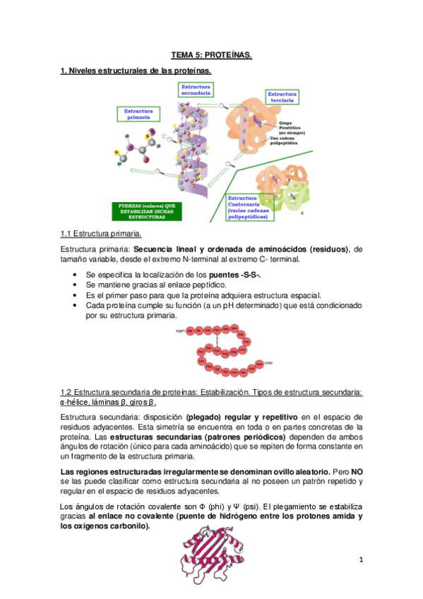 TEMA-5.-PROTEINAS.pdf