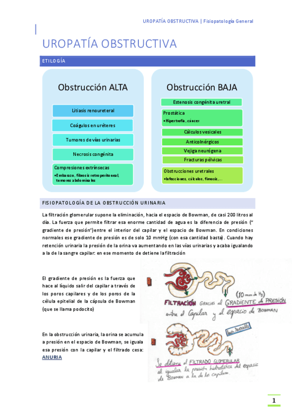 FGeneral-T24-Uropatia-obstructuva.pdf