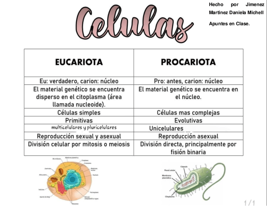 Cuadro-comparativo-de-las-celulas.pdf