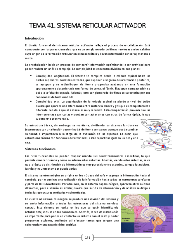 TEMA-41.pdf