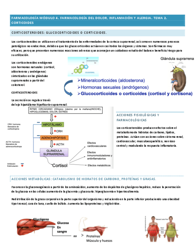 farmacologia-modulo-4.-tema-2-y-3.pdf