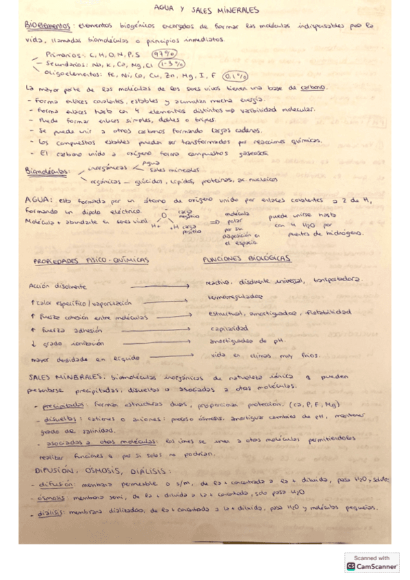 esquemas-bio-sele.pdf