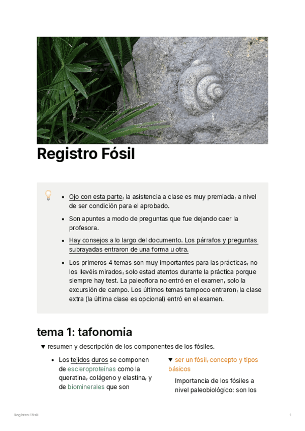 RegistroFosil-2324.pdf
