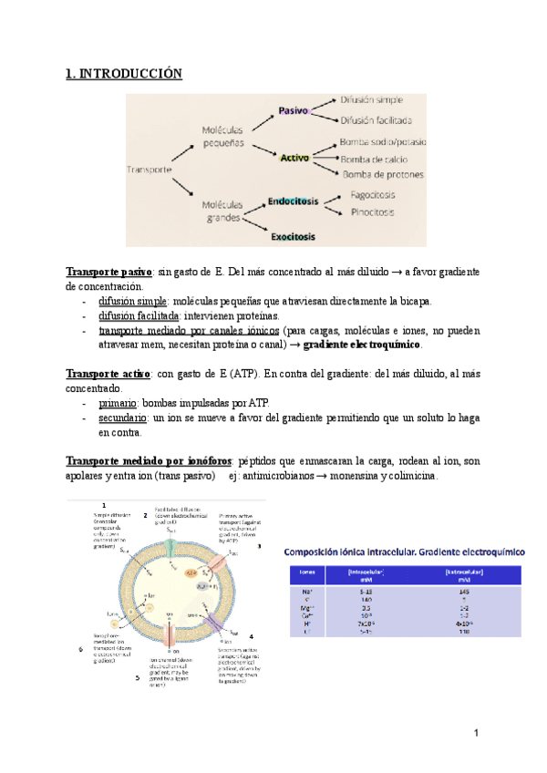 BIO-T3.-TRANSPORTE-A-TRAVES-DE-MEMBRANA.pdf